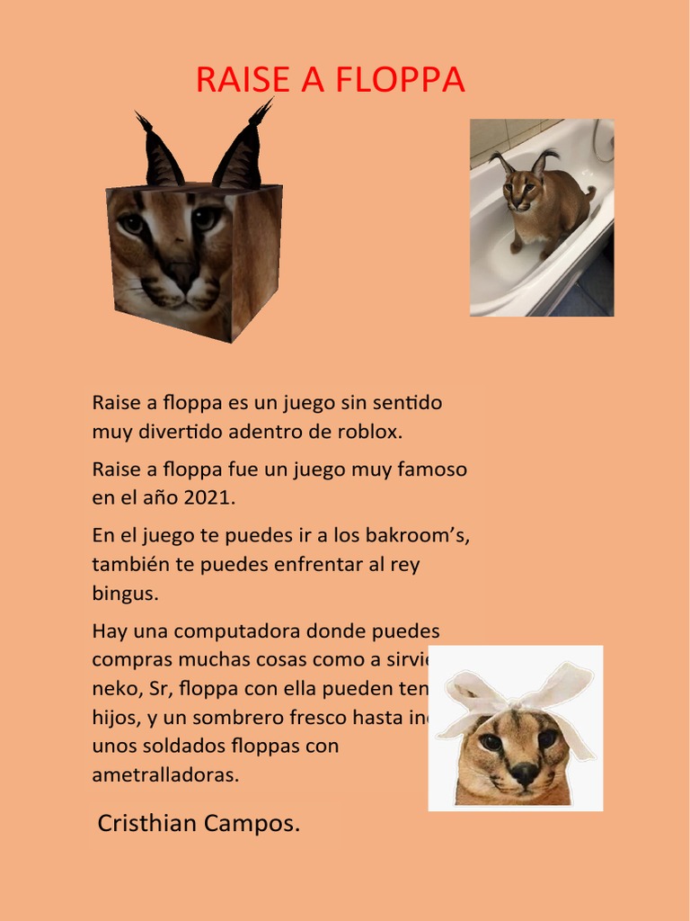 Raise A Floppa: Cristhian Campos | PDF