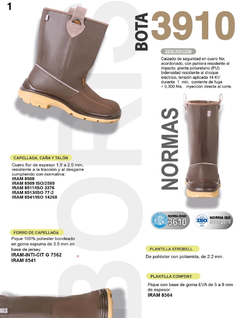 Bota BORIS 3910 | PDF