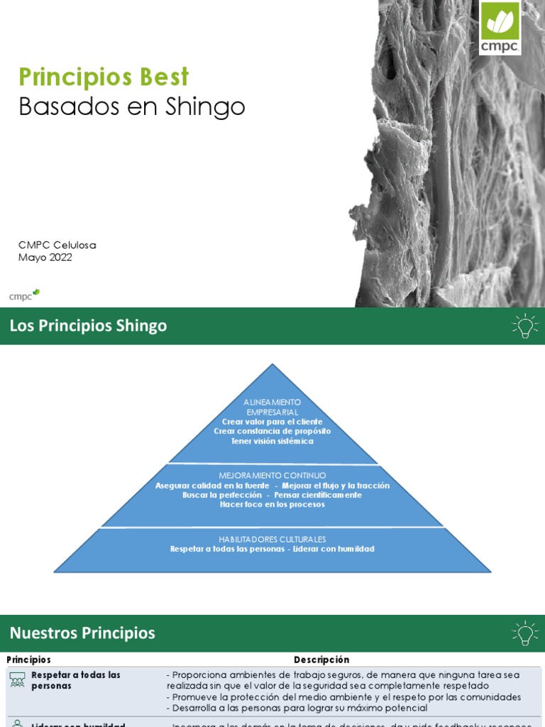 Los principios de excelencia operacional basados en Shingo | PDF | Toma ...