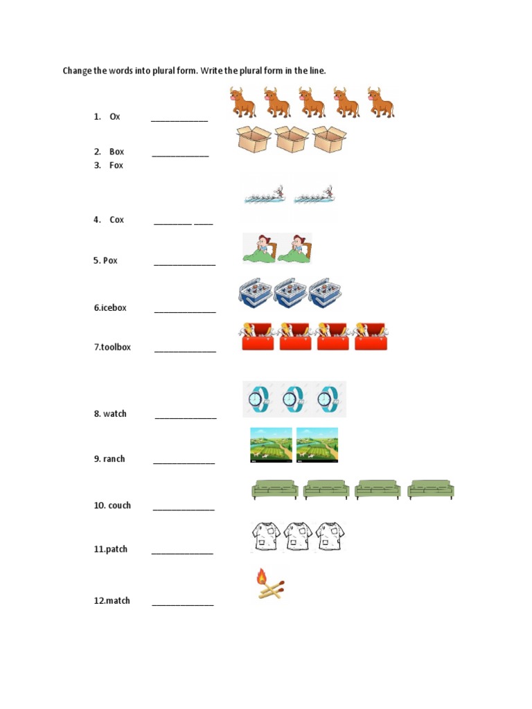 Plural Forms Exercise Document | PDF | Home & Garden