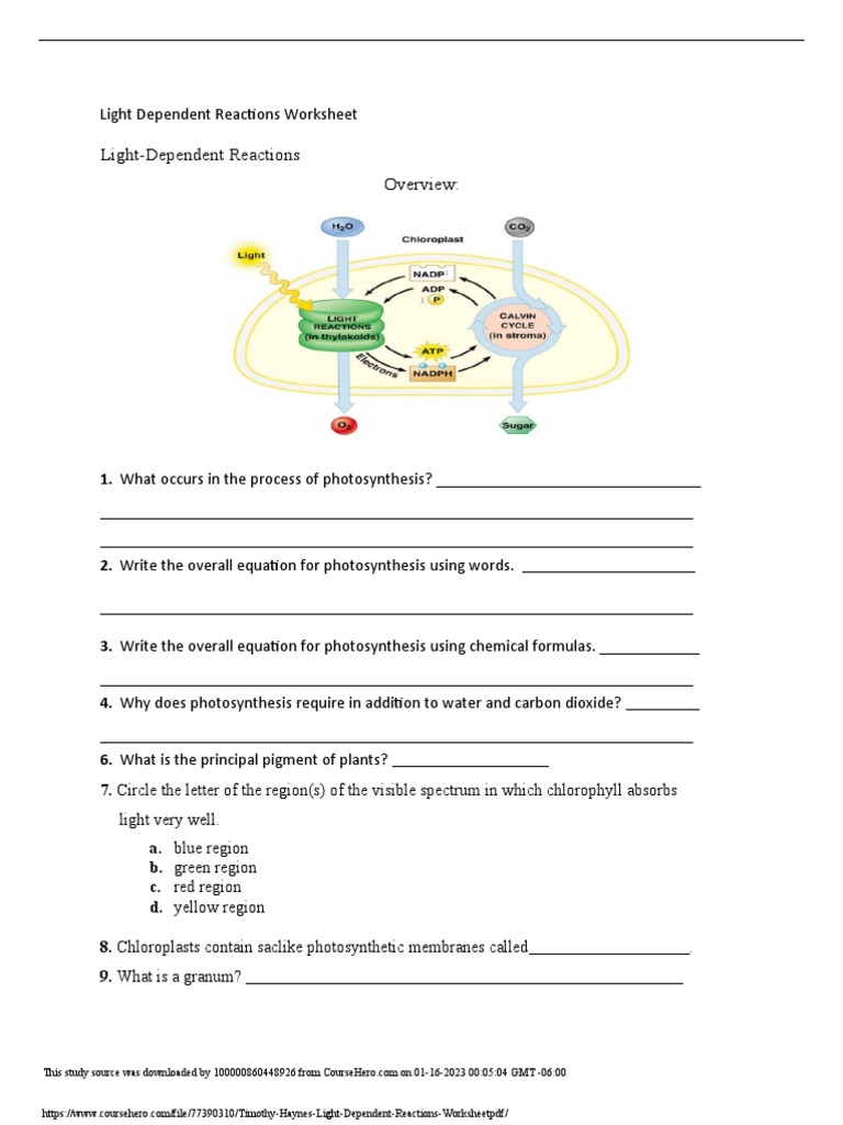 Light Dependent Reactions Worksheet PDF | PDF | Science & Mathematics