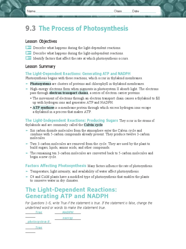 The-Process-Of-Photosynthesis - Summary | Download Free PDF ...