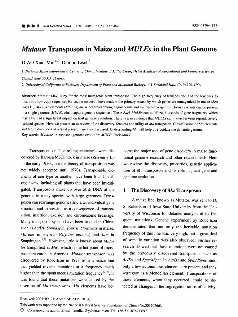 Transposon in Maize | PDF | Transposable Element | Gene