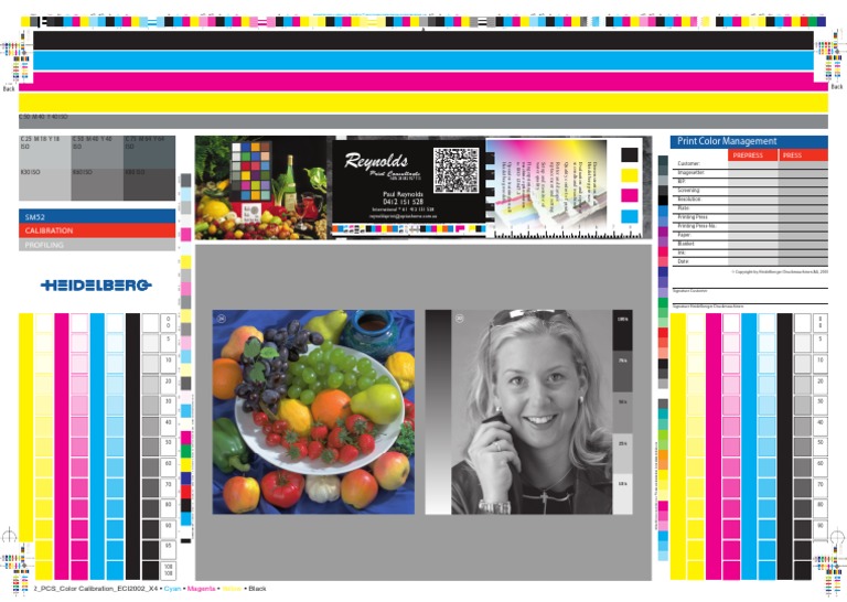 SM52 Test Form | PDF