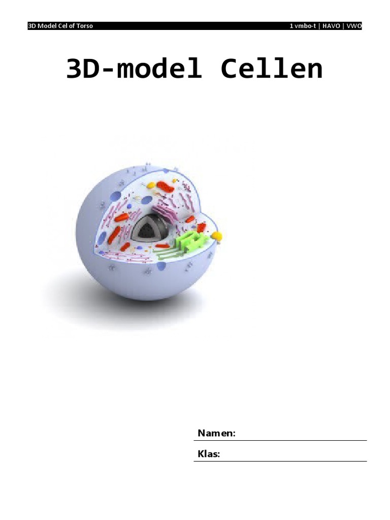 3D Model Cel Opdracht Beoordeling | PDF