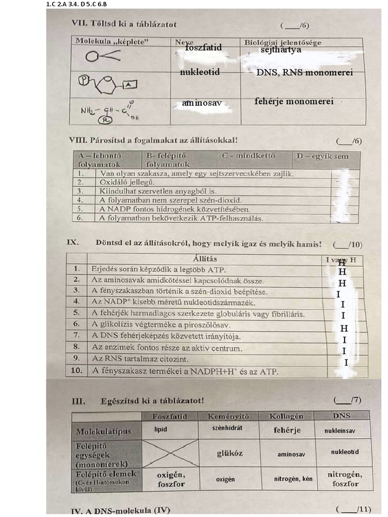 Biológia Érettségi Feladatok | PDF