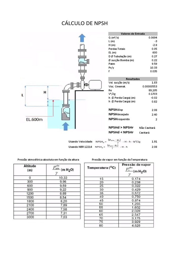 Calculo NPSH Bombas | PDF | Materiais transparentes | Mecânica