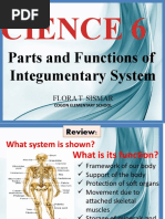 Body Systems (Grade 6) - Free Printable Tests and Worksheets ...