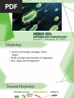Sketchy Microbiology 1 | PDF | Gram Negative Bacteria | Bacteria