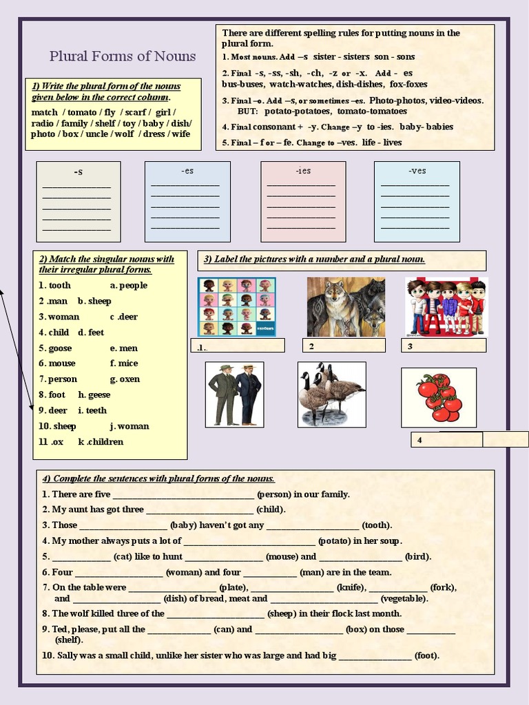 A Guide to Forming Plural Nouns and Completing Related Exercises | PDF ...