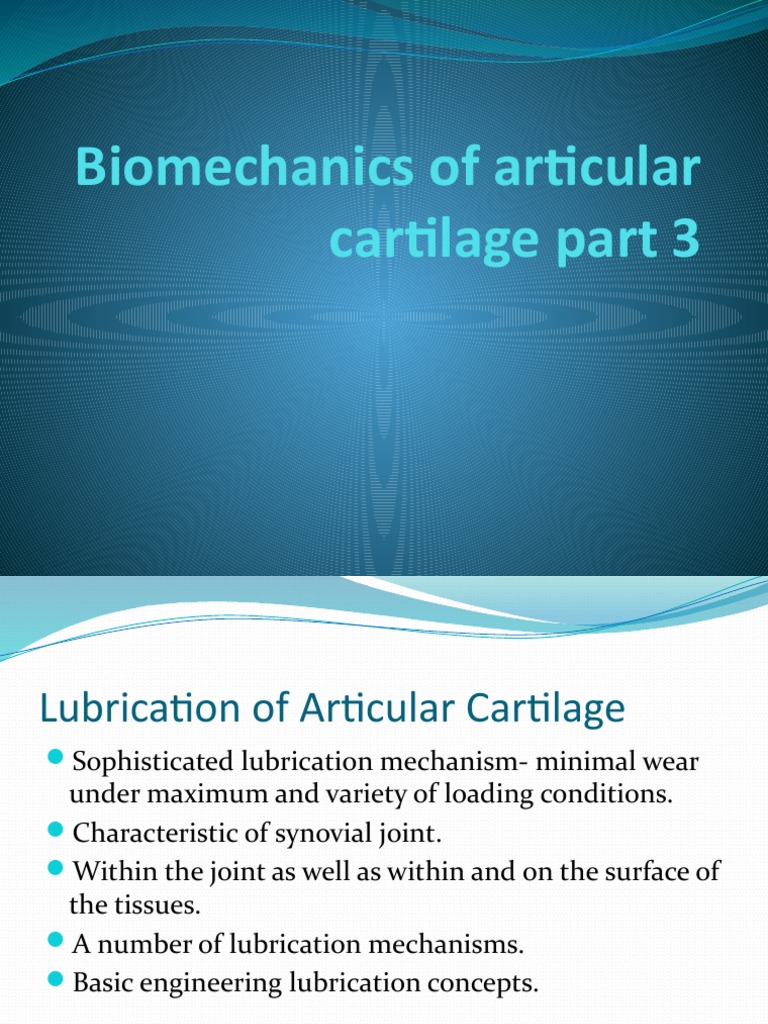 Lubrication Mechanisms in Articular Cartilage | PDF | Wear ...