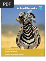 Explore Our World 2 Workbook | PDF