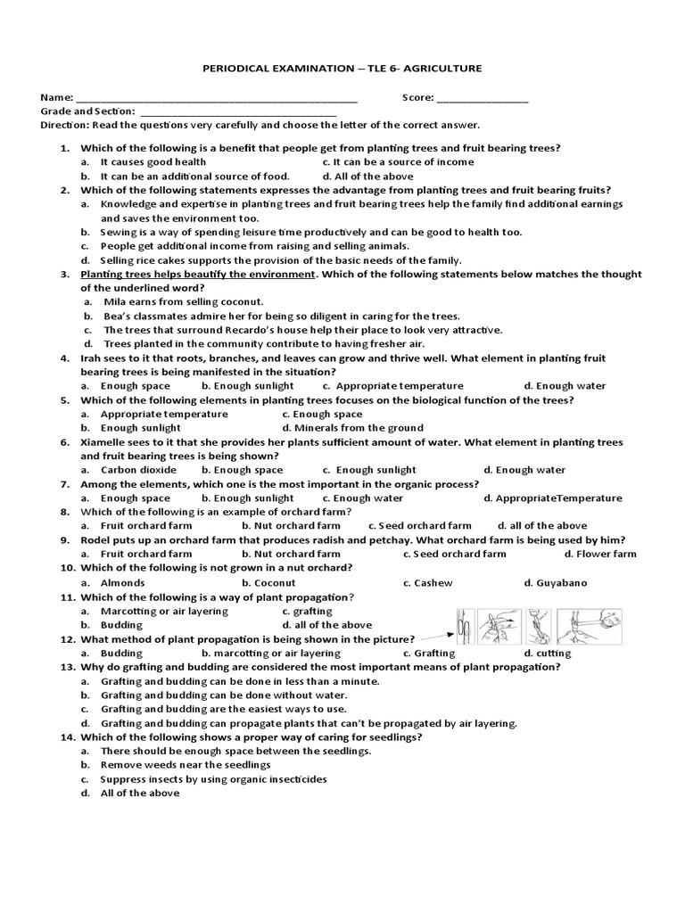 Grade Vi Epp Agri TQ Tos Answers Key | PDF | Organic Farming | Fertilizer