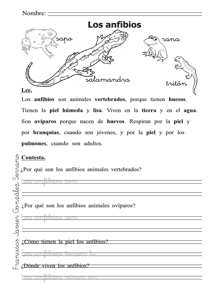 Anfibios: Características y Hábitat | PDF | Ciencia y matemáticas