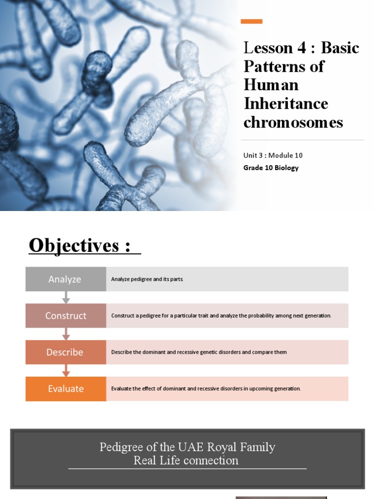 G10 BIO Basic Patterns of Human Inheritance | PDF | Dominance (Genetics) | Genotype