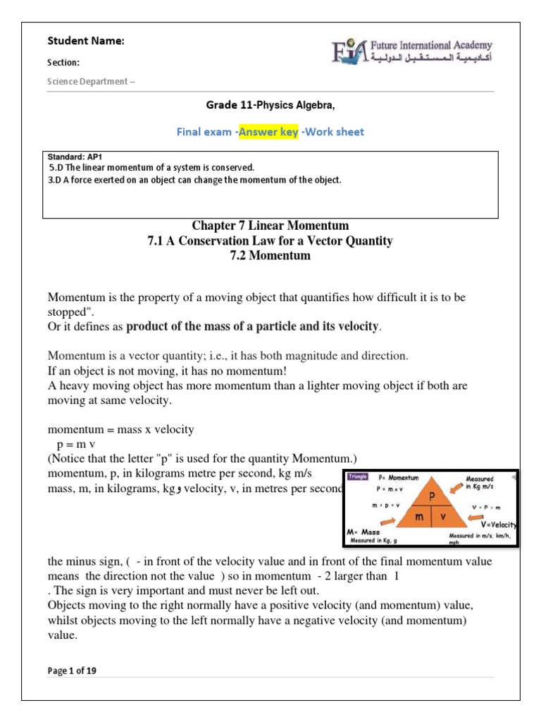 Grade 11 Physics Momentum Guide | PDF | Momentum | Acceleration
