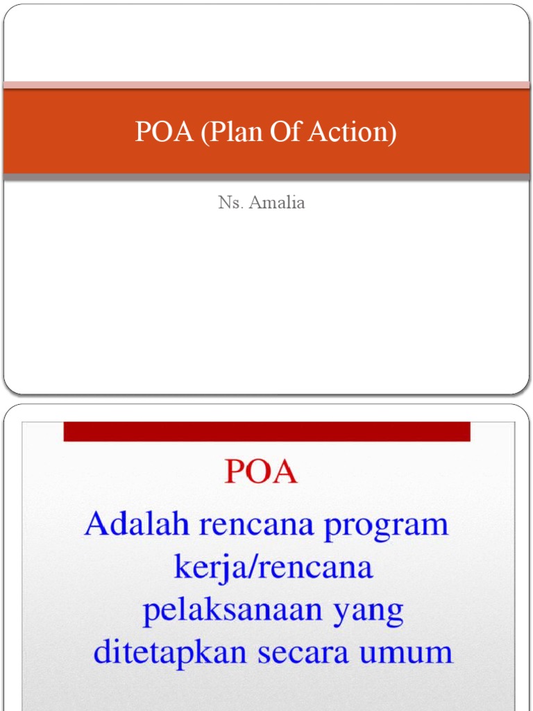 POA (Plan of Action) | PDF