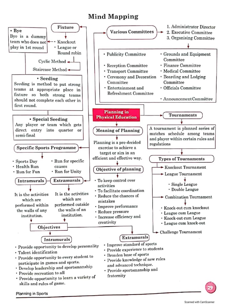 12 Physical Edu HY Mind Mapping | PDF