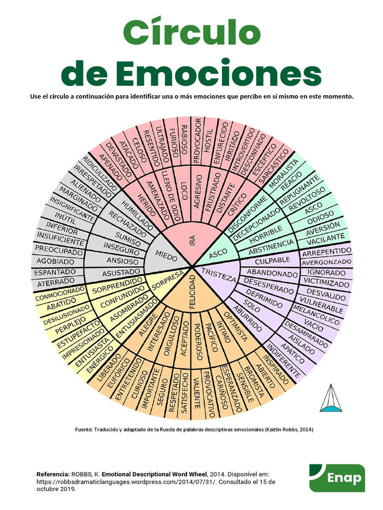 1.4 - Círculo de Emociones | PDF