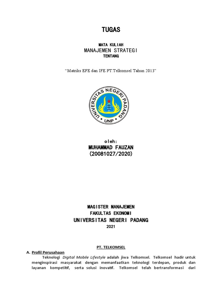 Matriks EFE dan IFE Telkomsel 2013 | PDF