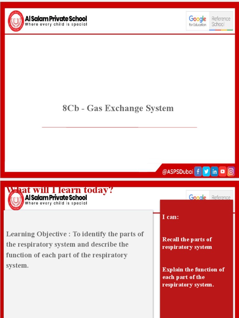 8Cb - Gas Exchange System | PDF | Lung | Larynx