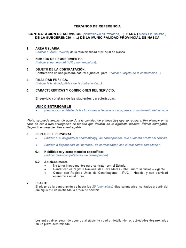 Modelo TDR Locador Un Entregable Municipalidad de Nazca | PDF ...