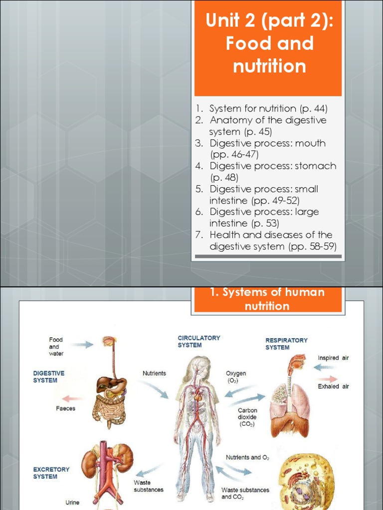 Unit 2 Part 2 Biology | Download Free PDF | Human Digestive System | Digestion