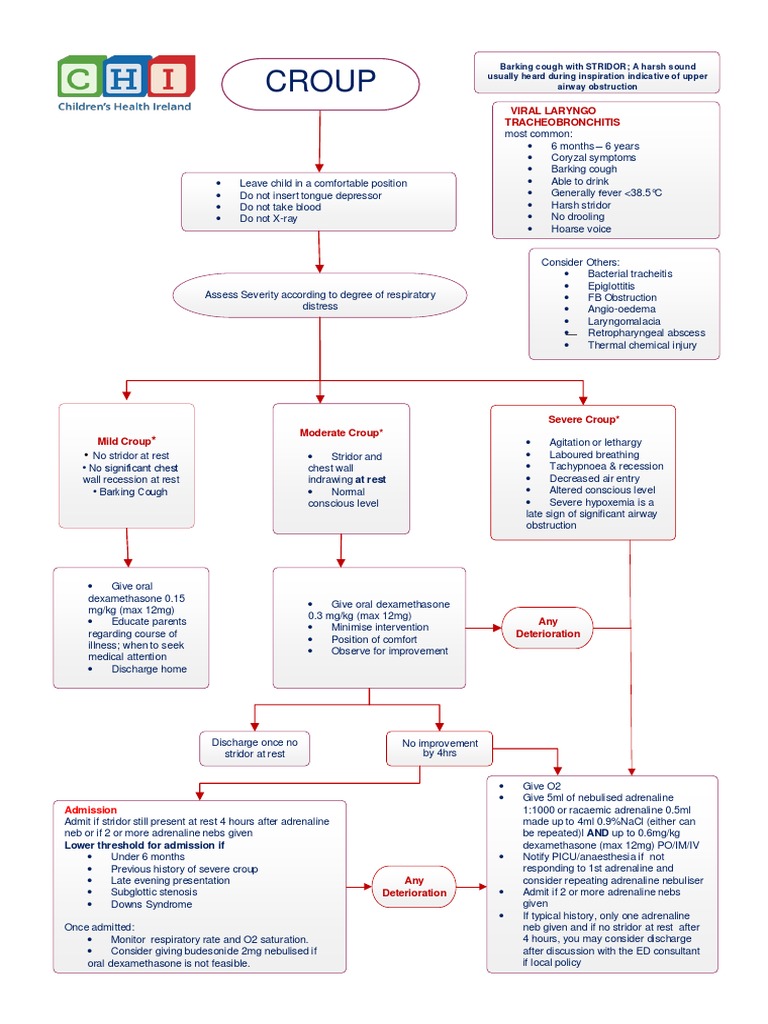 Croup Algorithm | PDF | Medical Specialties | Causes Of Death