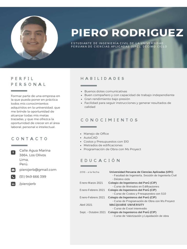 Perfil Profesional de Piero Rodriguez | PDF | Ingeniería