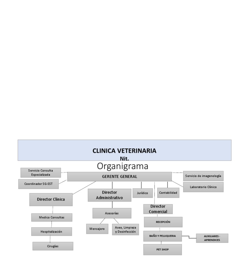 Organigrama para Una Veterinaria | PDF