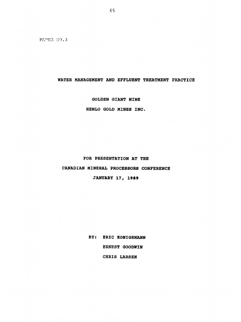 Golden Giant Mine Paper | PDF