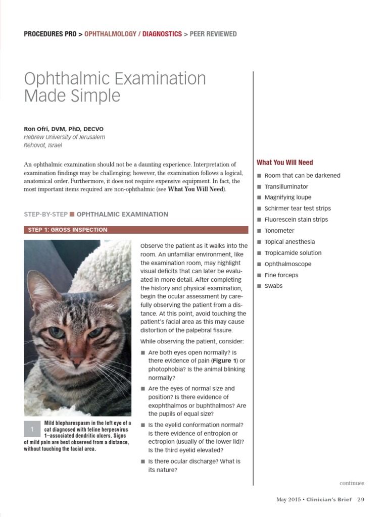 ProP Ophthalmic Examination Made Easy | PDF | Vision | Human Eye