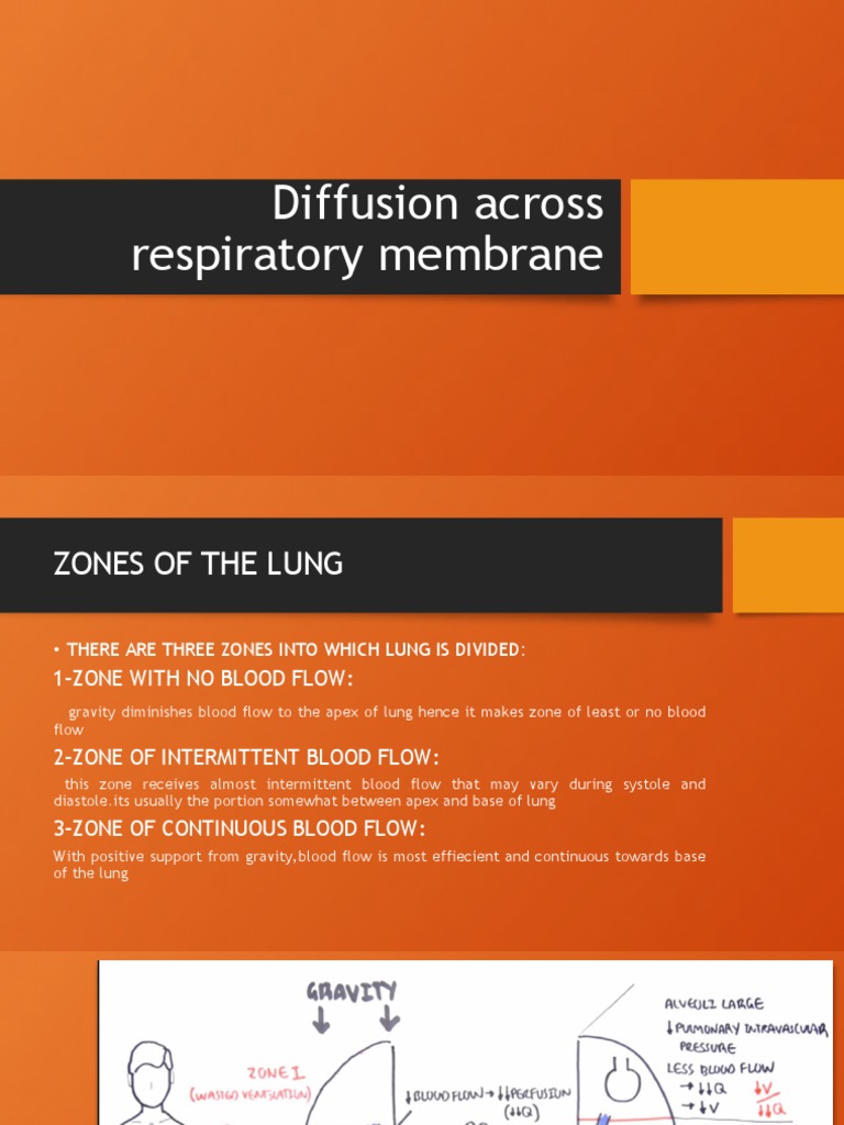 Diffusion Across Respiratory Membrane | PDF | Lung | Breathing
