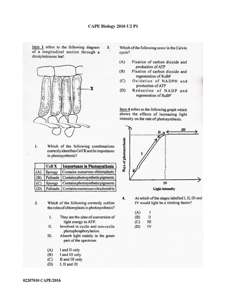 Cape Biology Unit 2 2016 p1 | PDF