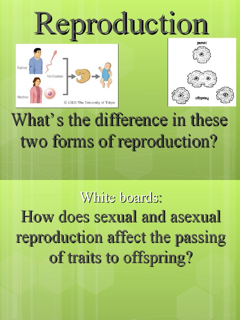 Sexual vs Asexual Reproduction Explained | PDF | Sexual Reproduction ...