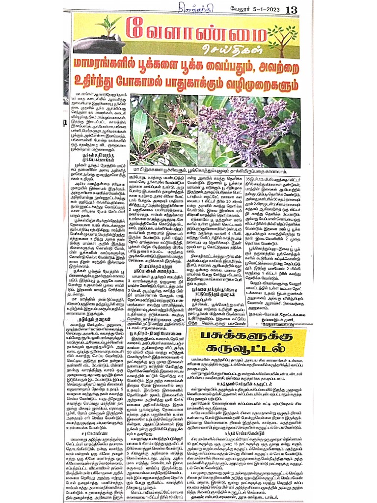 Mango Press News | PDF