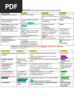 Urology Medical Terminology | PDF | Urinary System | Kidney