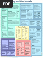 5Ps Formulation | PDF | Substance Abuse | Mental Disorder