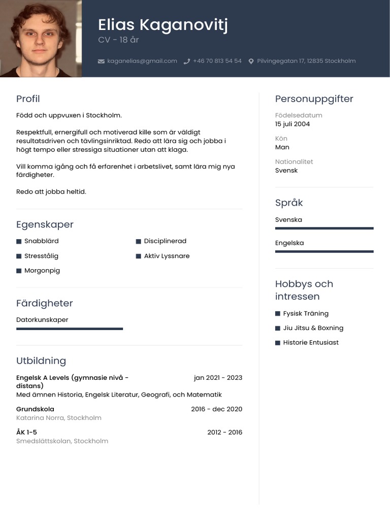 CV Elias Kaganovitj | PDF