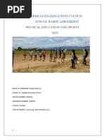 Kath Murdochs Inquiry Model | PDF | Information | Thought