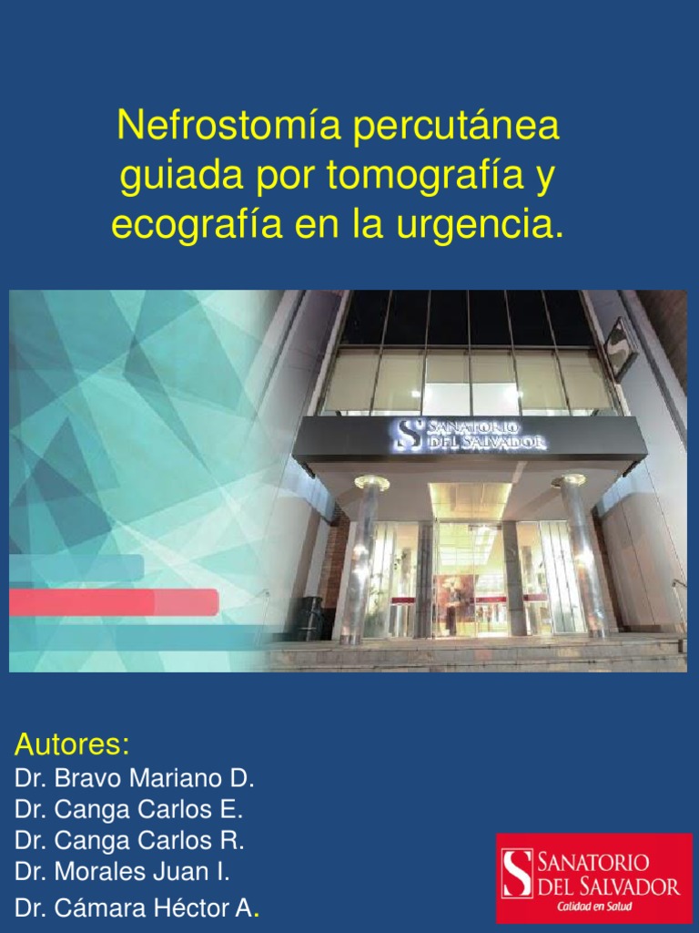 Nefrostomia Percutanea Técnica | PDF | Órgano (anatomía ...