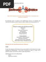 Fármacos Nefrotóxicos y su Manejo | PDF | Tratamientos médicos | Medicina