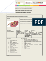 Criterios Iota Ecografia Ginecologica | PDF | Cáncer | Ovario