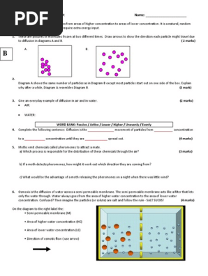 Diffusion And Osmosis Worksheet Pdf