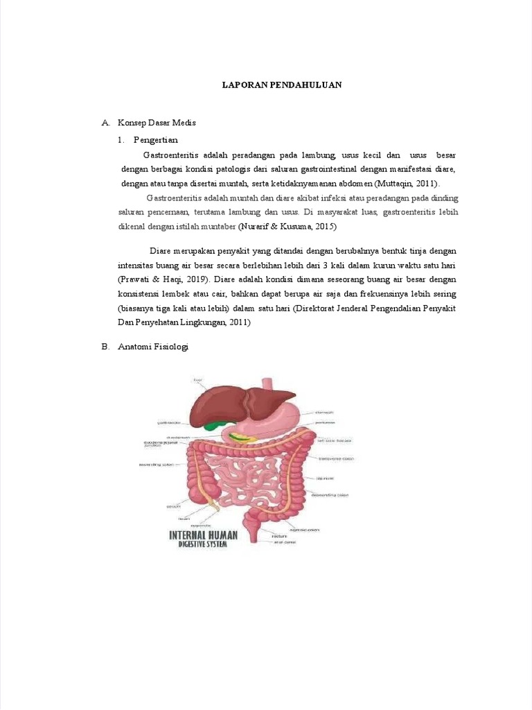 LP Gea | PDF