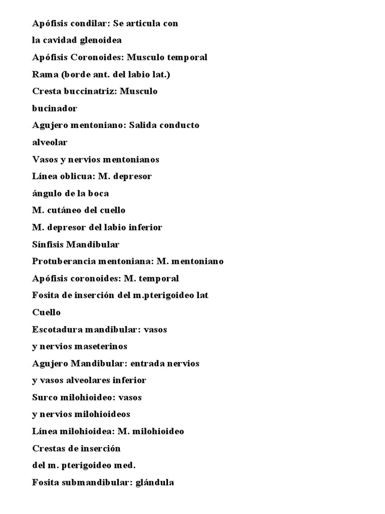 Apófisis Condilar | PDF