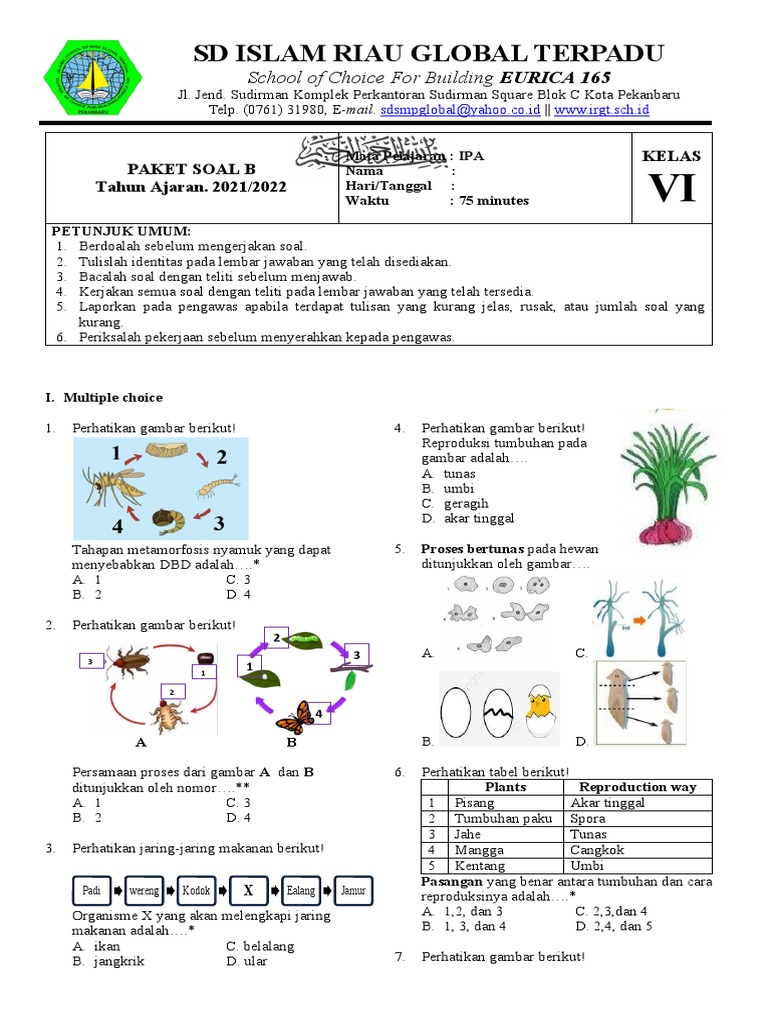 Paket Soal B Ipa Grade 6 | PDF