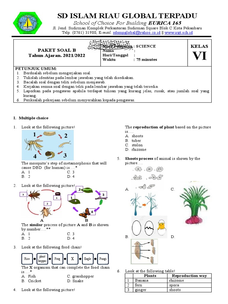 Grade 6 Science Exam Questions 2021/2022 | PDF | Force | Planets