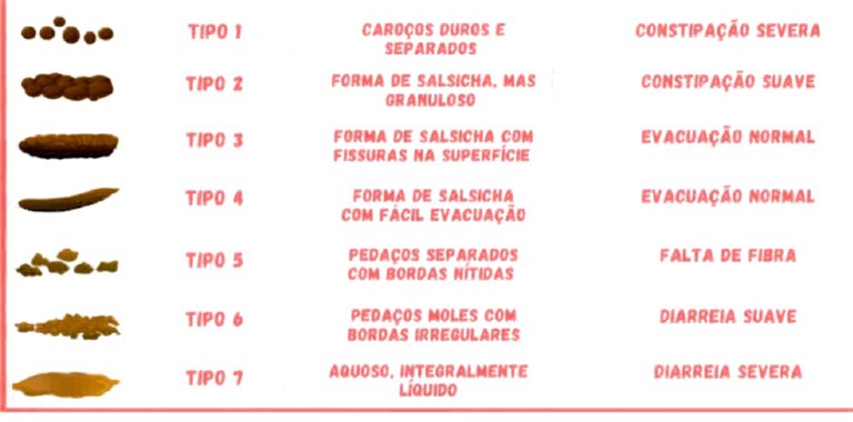 Classificação dos tipos de fezes humanas com base em sua aparência e ...