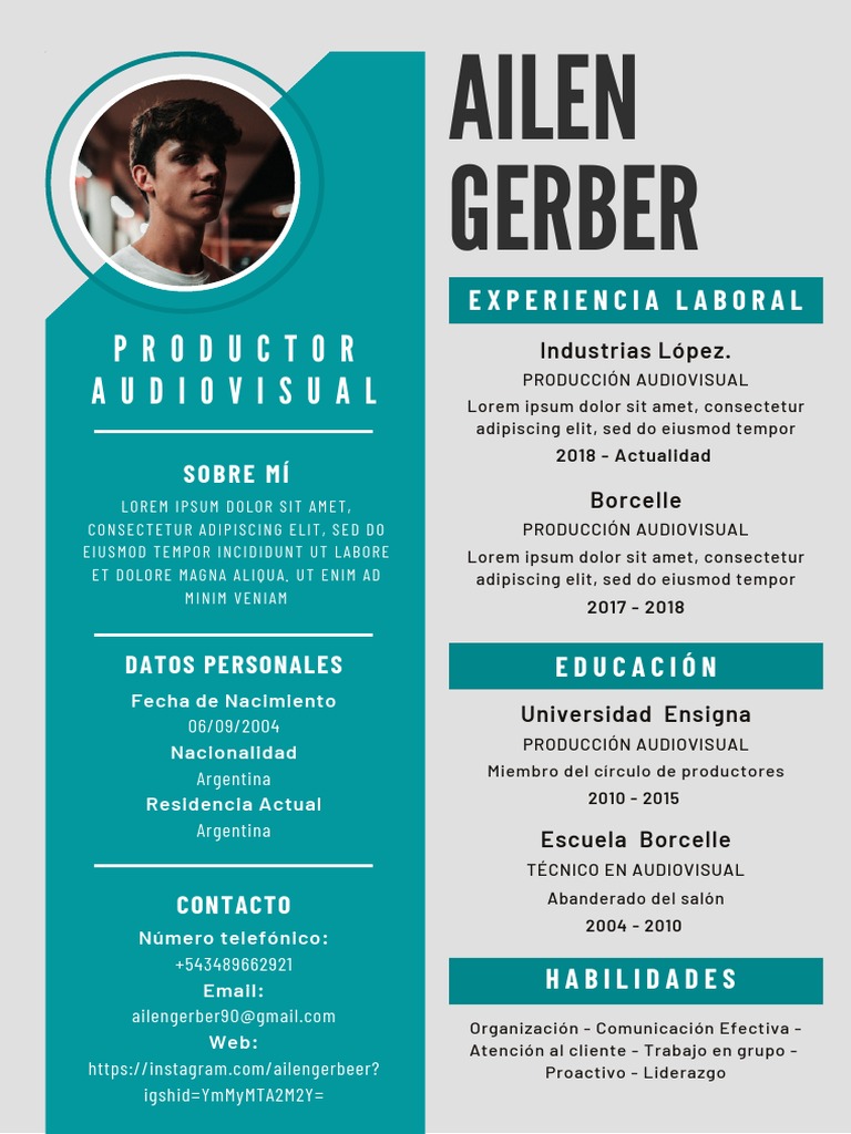 Curriculum Vitae CV Profesional | PDF